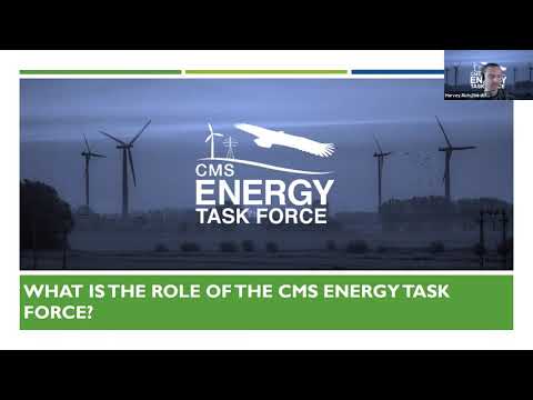 Energy Task Force webinar
