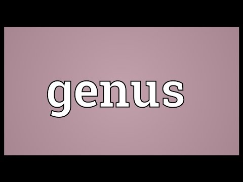 Genus Meaning