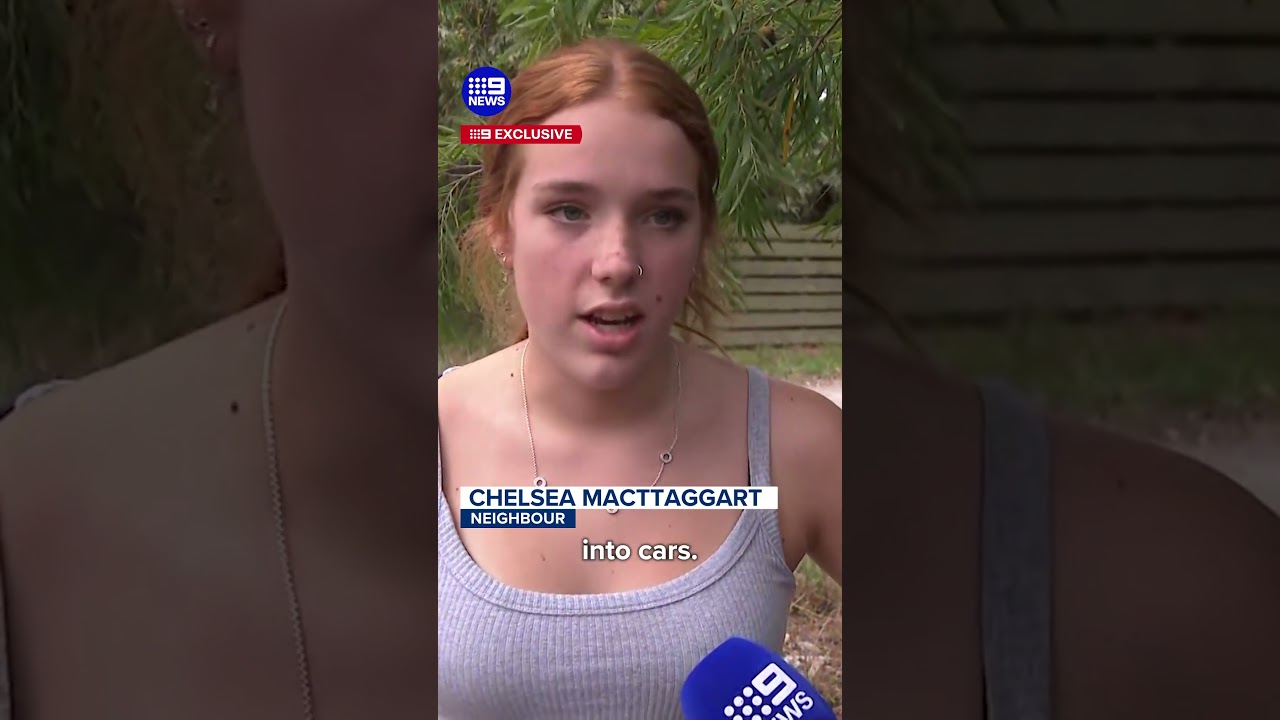 Heavily armed police swoop on property | 9 News Australia