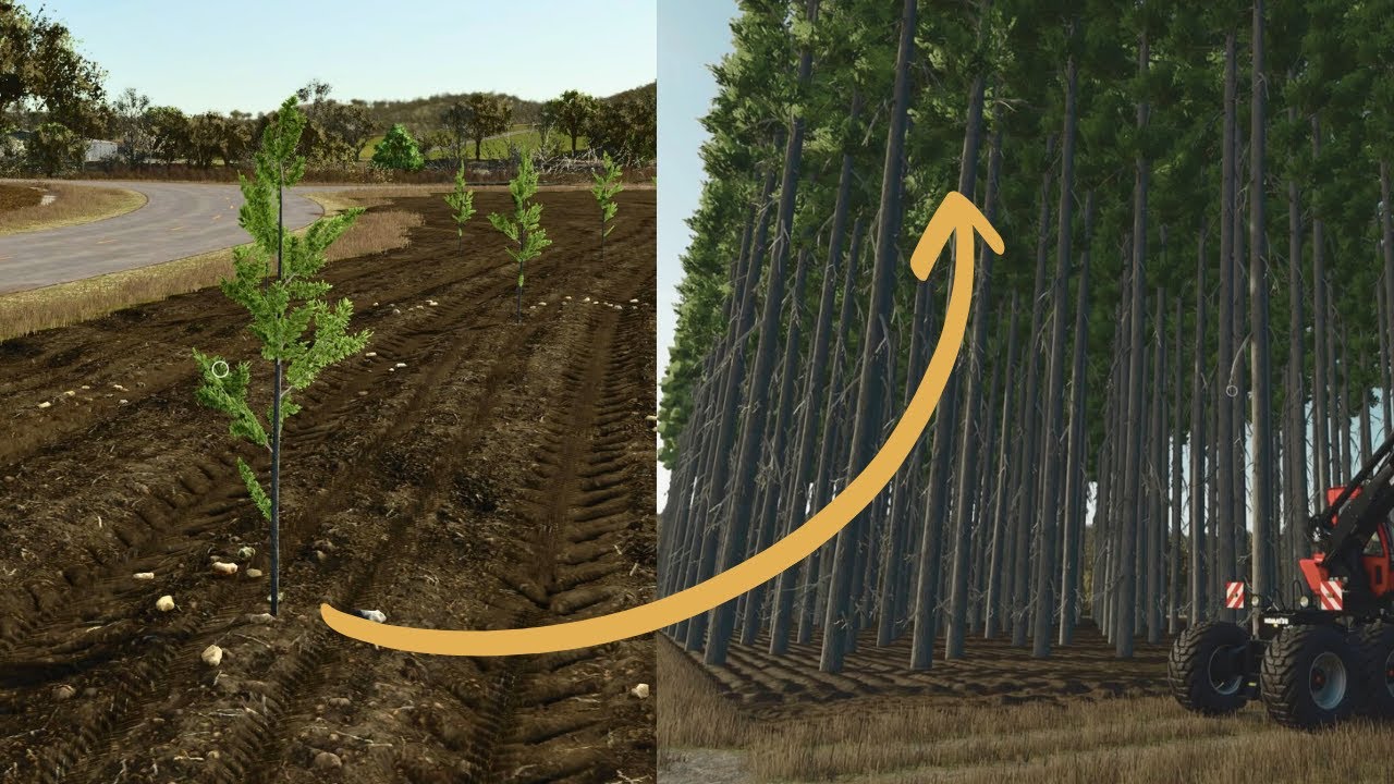 How To Start A Logging / Forestry Farm In Farming Simulator 25