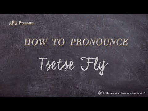 How to Pronounce Tsetse Fly (Real Life Examples!)