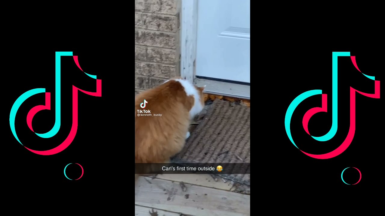 Tiktok | You Scared Me Jesus