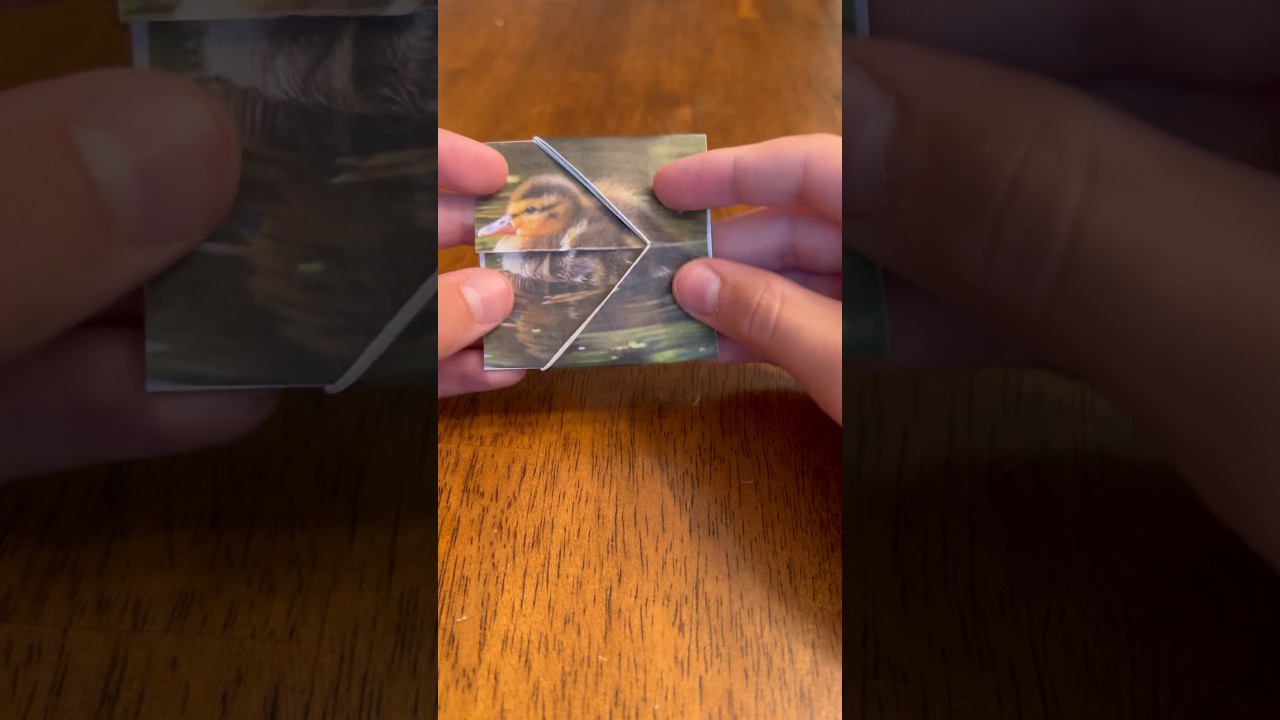 Foldology 1: Puzzle 10 Tutorial