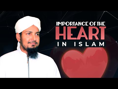 Importance Of The Heart in islam | Abdul Qadir Attari | Madani Channel English