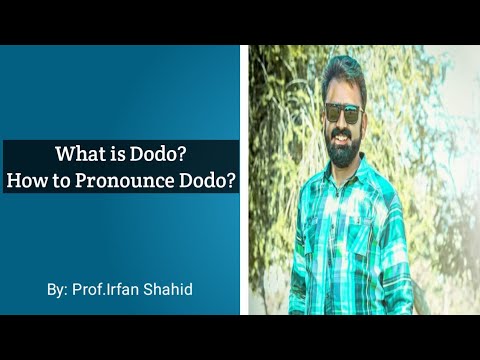 How to pronounce dodo?/ What is the meaning of dodo