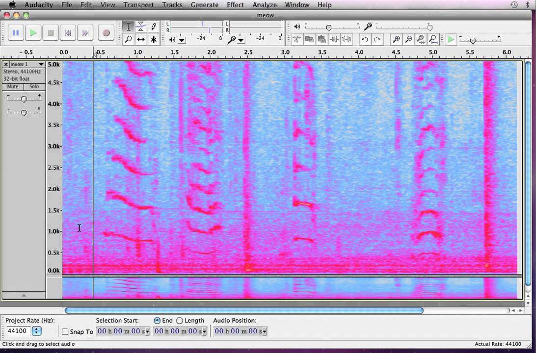 Exploring Audacity's Spectrogram View