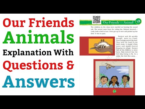 Our Friends Animal, Explanation With Questions and Answers Video ...