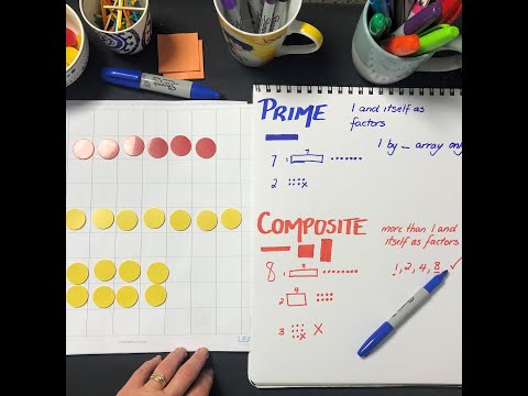 What are Prime and Composite Numbers?