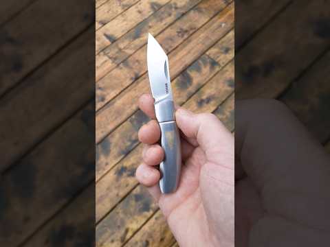 begg knives slipjoint 14c28n $31 #shorts