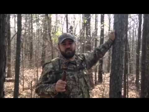 The Haint Gobble Call