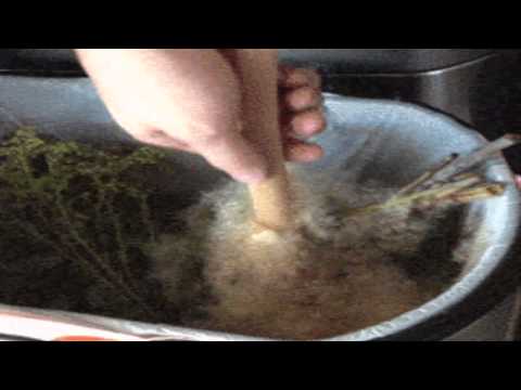 Manually extracting Cattail seed spores Full HD