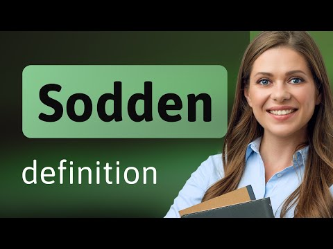 Sodden — what is SODDEN definition
