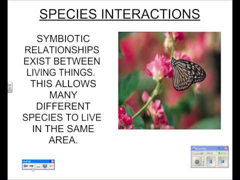 EOC Biology Video Review #7 Ecology