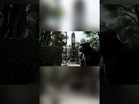 What this chimpanzees are doing !!!? #trending #funny #memes