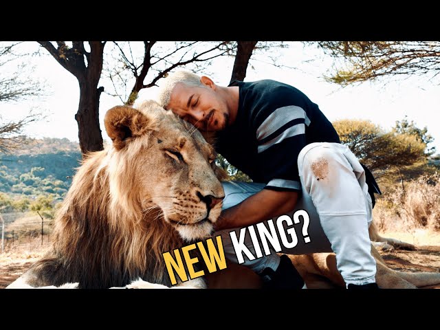 VIDEO: Hombre abraza a un león salvaje y se vuelve viral