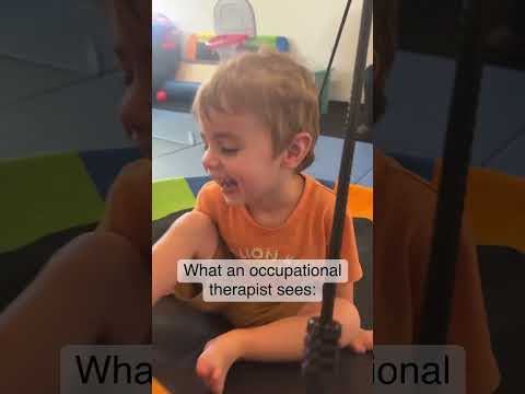 What is an Occupational Therapist Looking for in Therapy?
