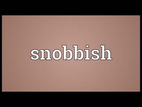 Snobbish Meaning