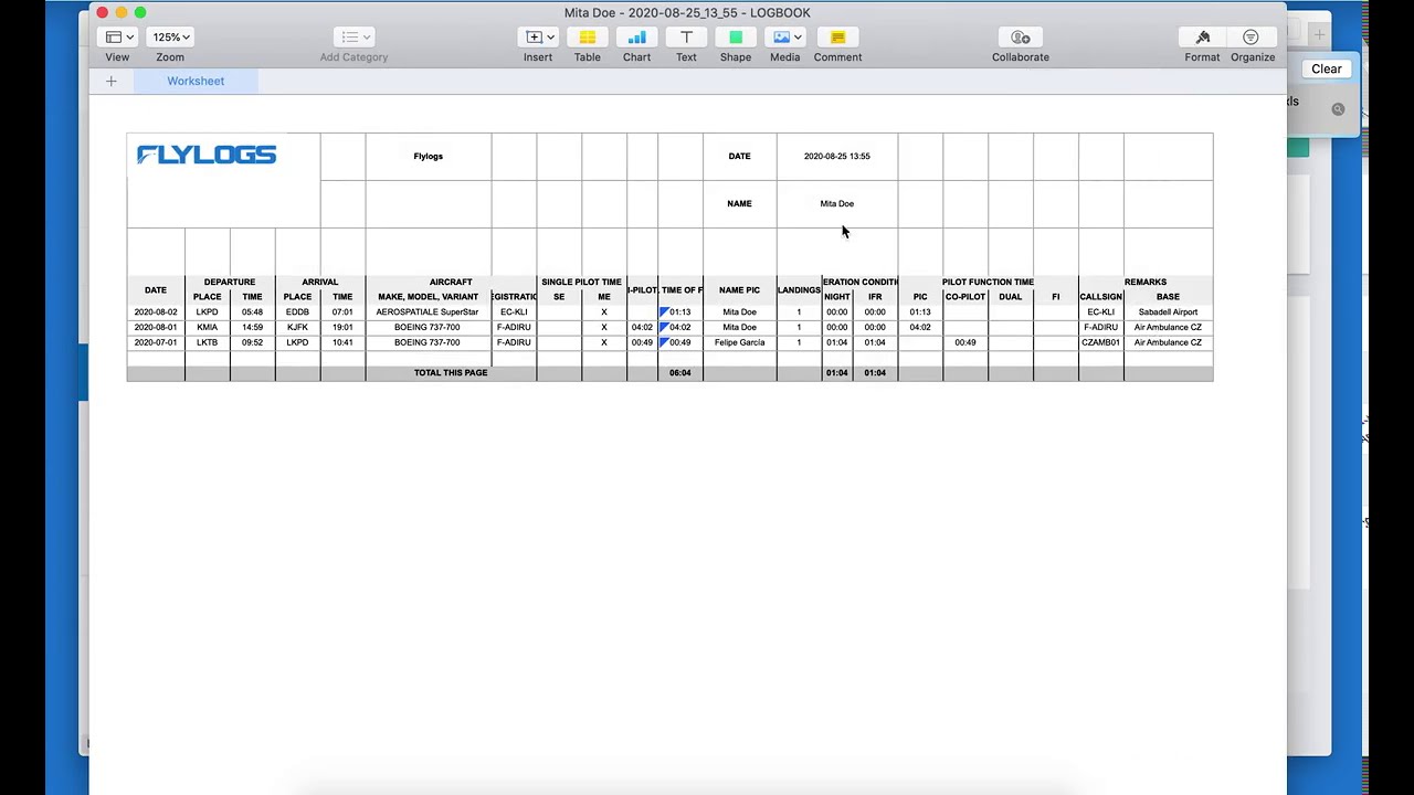 Export to Excel Spreadsheet pilot logbooks