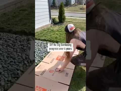 No dig flowerbed gardening progress over 4 years #diy #landscaping #gardening #hack