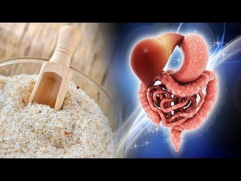 4 incredible reasons to include psyllium husk into your diet isabgol