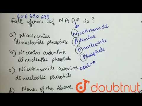 Full form of NADP is | CLASS 10 | LIFE PROCESSES | BIOLOGY | Doubtnut