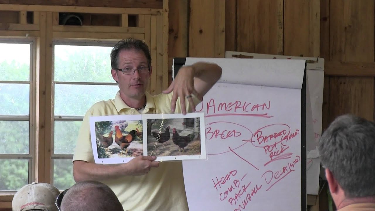 Raising Heritage Poultry Part 1