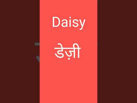 Daisy Pronunciation with Hindi meaning