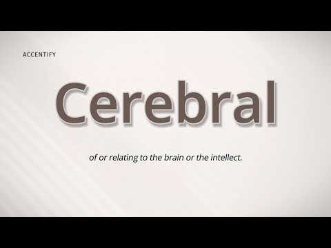Cerebral (Pronunciation and Meaning)