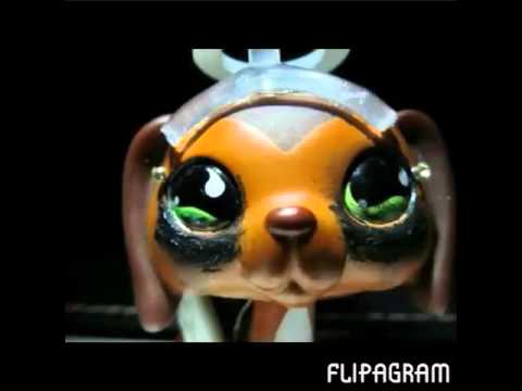 Lps : popular characters and photos β‘