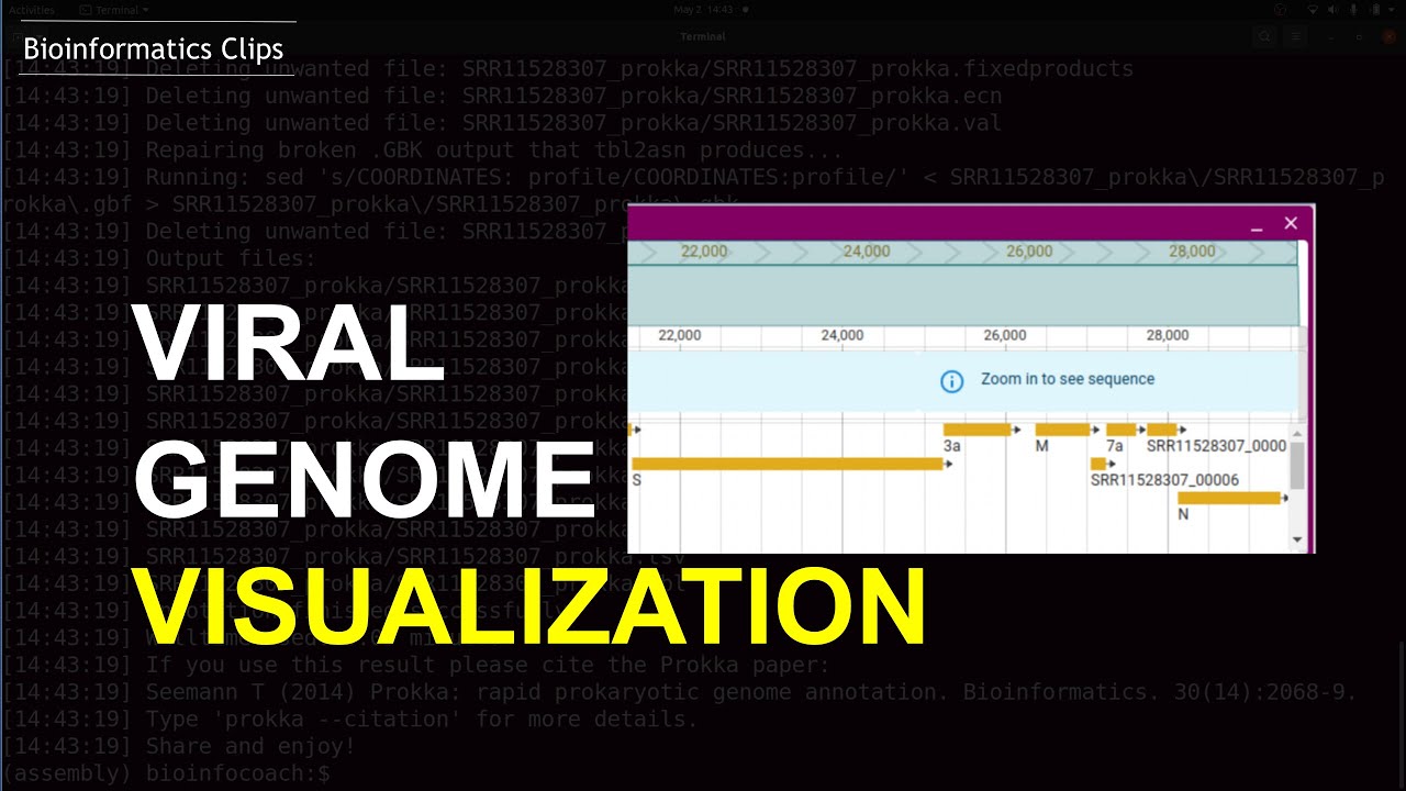 Viral genome visualization with jbrowse