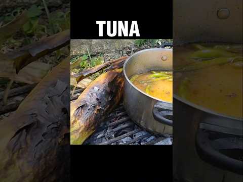 TUNA #life #food #cooking