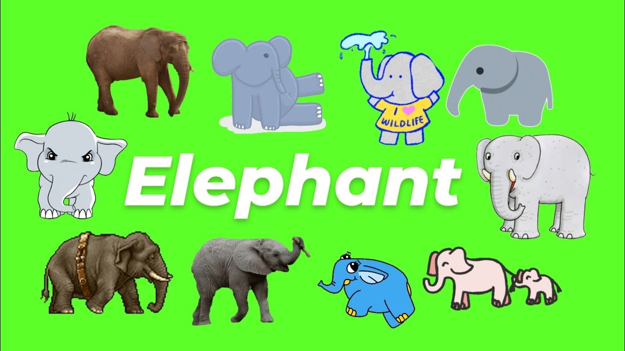 Animated Elephant GIF Green Screen Pack (Free Download)