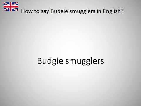 How to say Budgie smugglers in English?