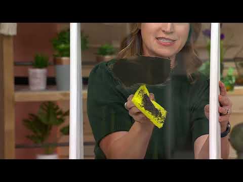 CAMPANELLI Microfiber & Diamondfiber Washable 6 pc Sponge Set on QVC