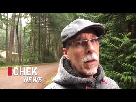 Witness describes Gabriola Island plane crash | CHEK News