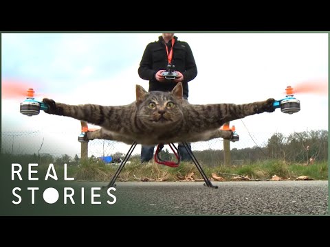 All Creatures Great and Stuffed (Extraordinary Taxidermy Documentary) | Real Stories