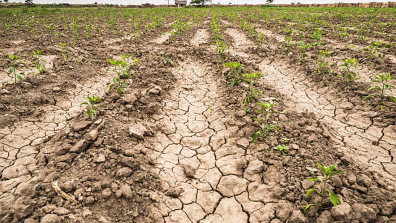 Emergenza idrica, nove azioni quotidiane per risparmiare acqua