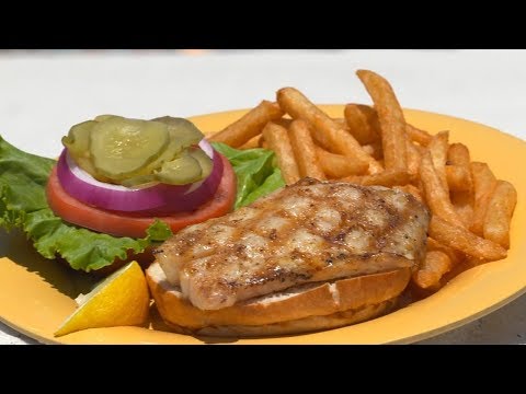 The Best Grilled Grouper Sandwich in the World