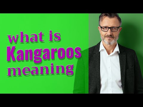 Kangaroos | Meaning of kangaroos 📖