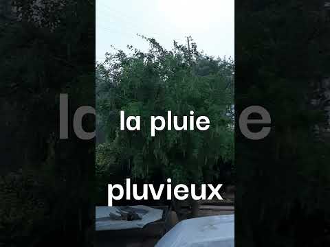 FRENCH Weather Vocabulary