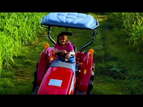 THE BOUNTY OF BT: STORIES OF SUCCESS FROM BT CORN GROWERS | Pan-Asia ...