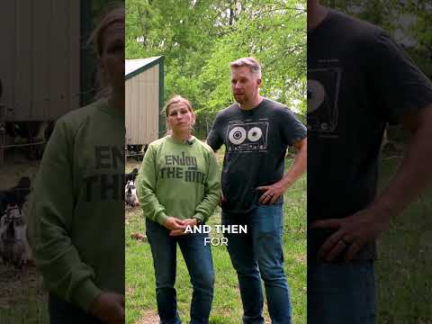 The Benefits of Pasture Raised Eggs