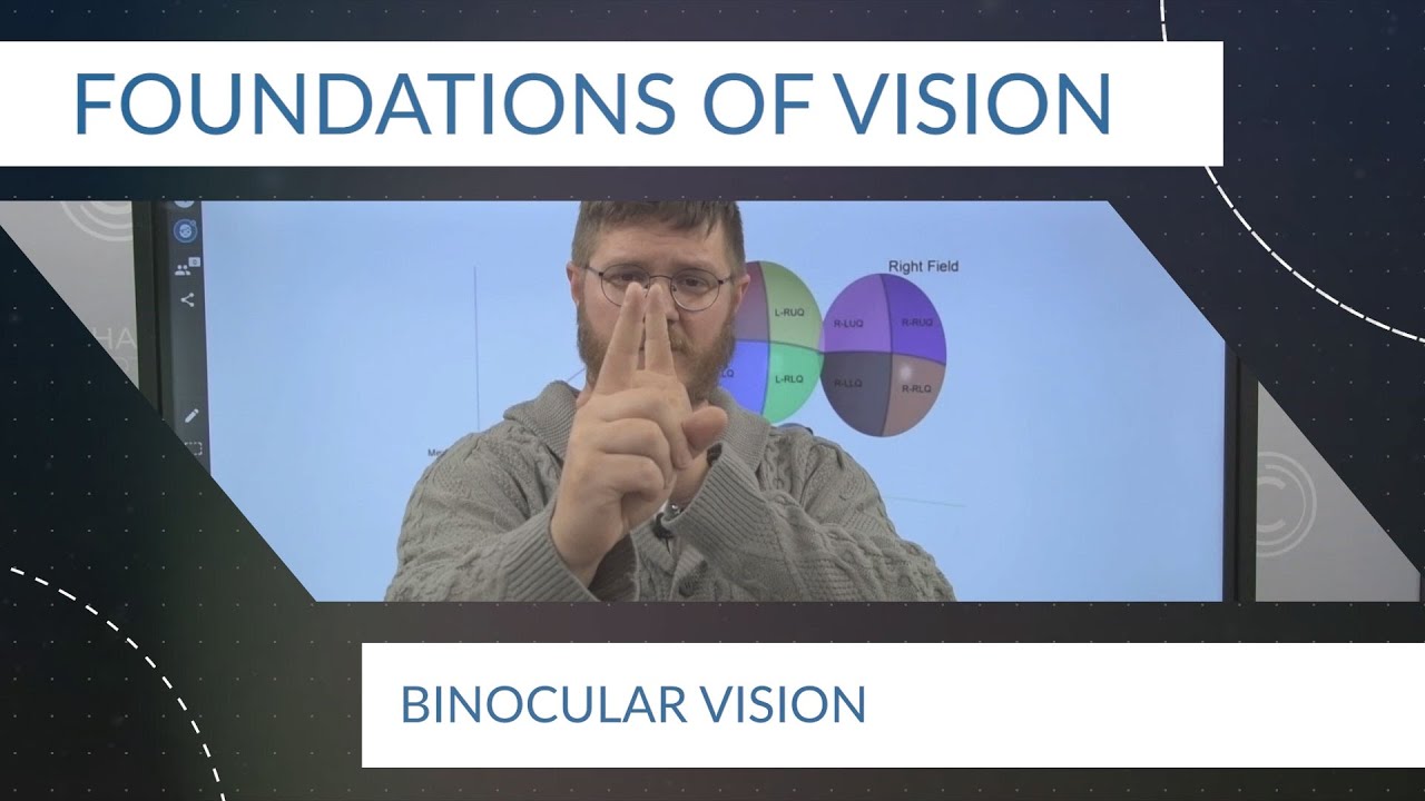 Foundation of Vision 4: Binocular Vision