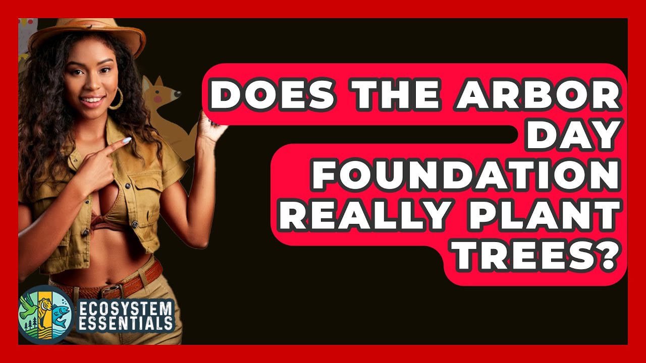 Does The Arbor Day Foundation Really Plant Trees? - Ecosystem Essentials