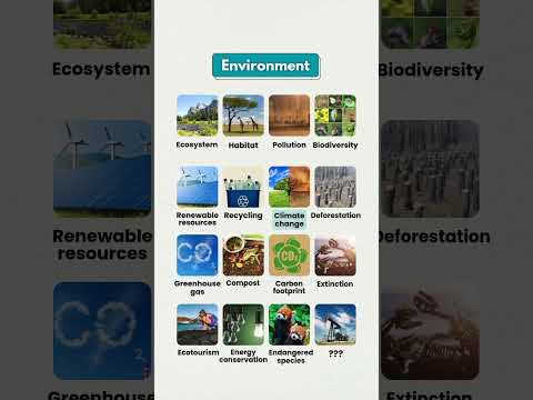 Vocabulary: ENVIRONMENT🌳#vocabularywords #englishlearning #englishskool #academicenglish