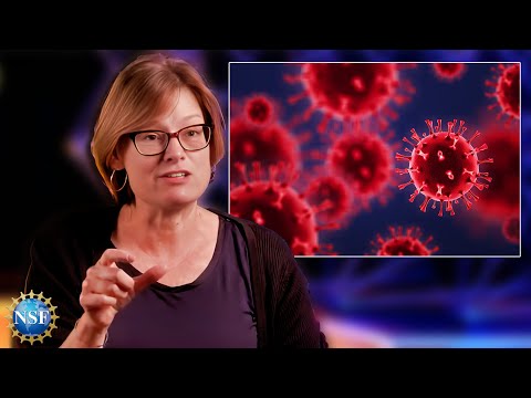 What is a Virus?