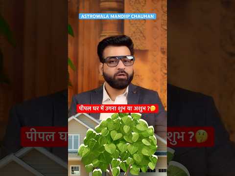पीपल घर में उगना शुभ या अशुभ ?🤔 Astrowala Mandiip Chauhan