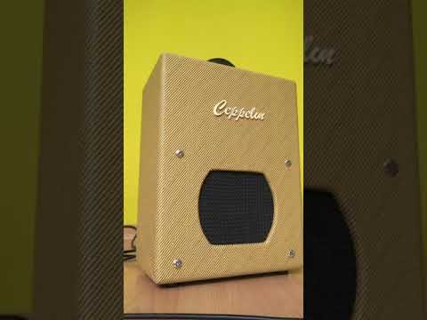 Ceppelin custom all tube guitar amp, class a 5 watt