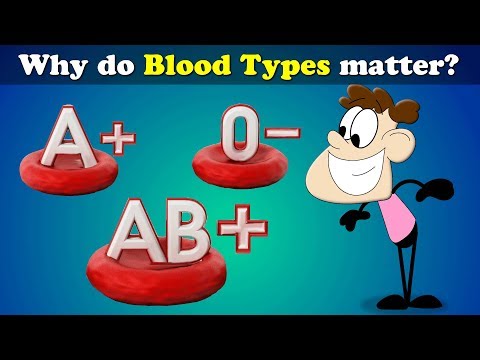 Why do Blood Types matter? + more videos | #aumsum #kids #science #education #children