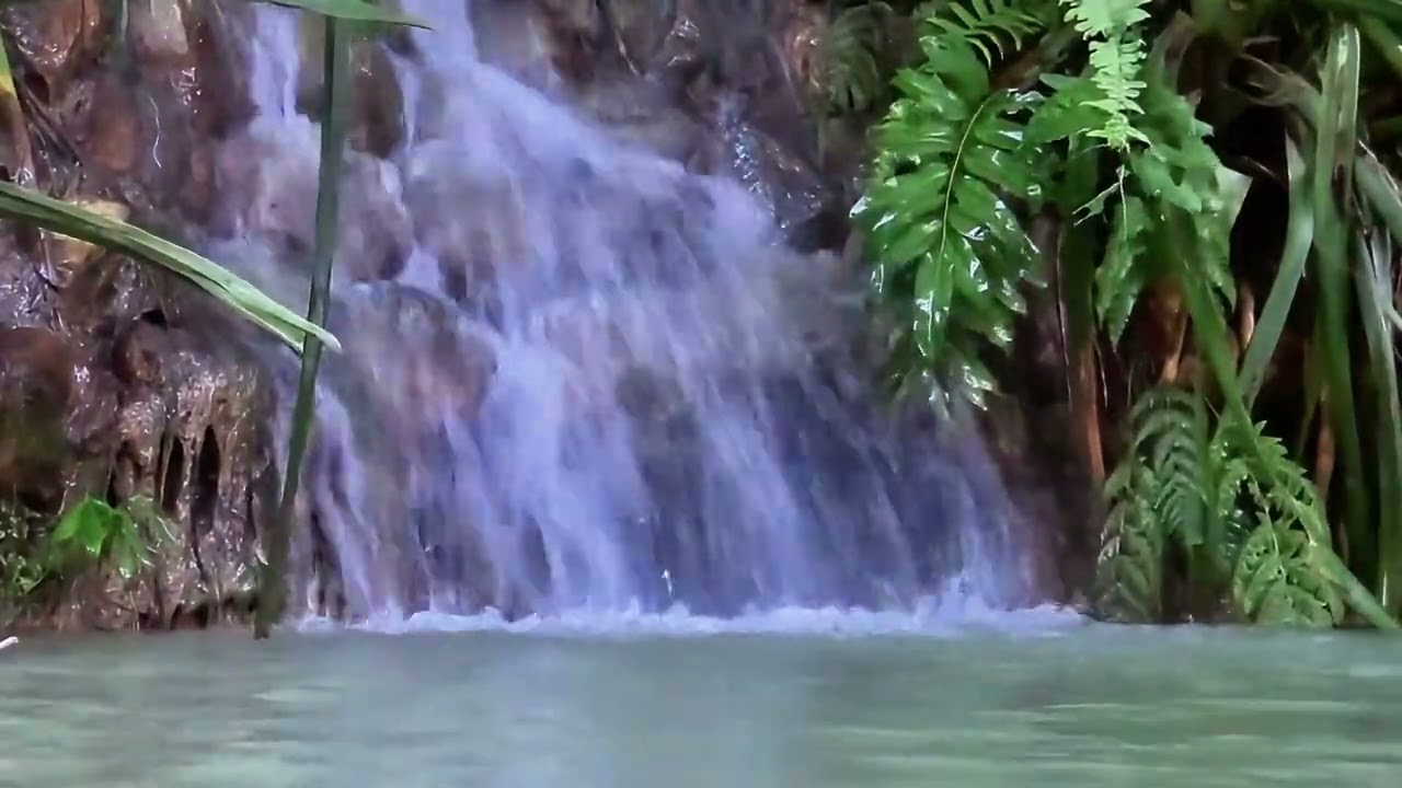 Experience the serene beauty of a tropical waterfall cascading into a clear pool
